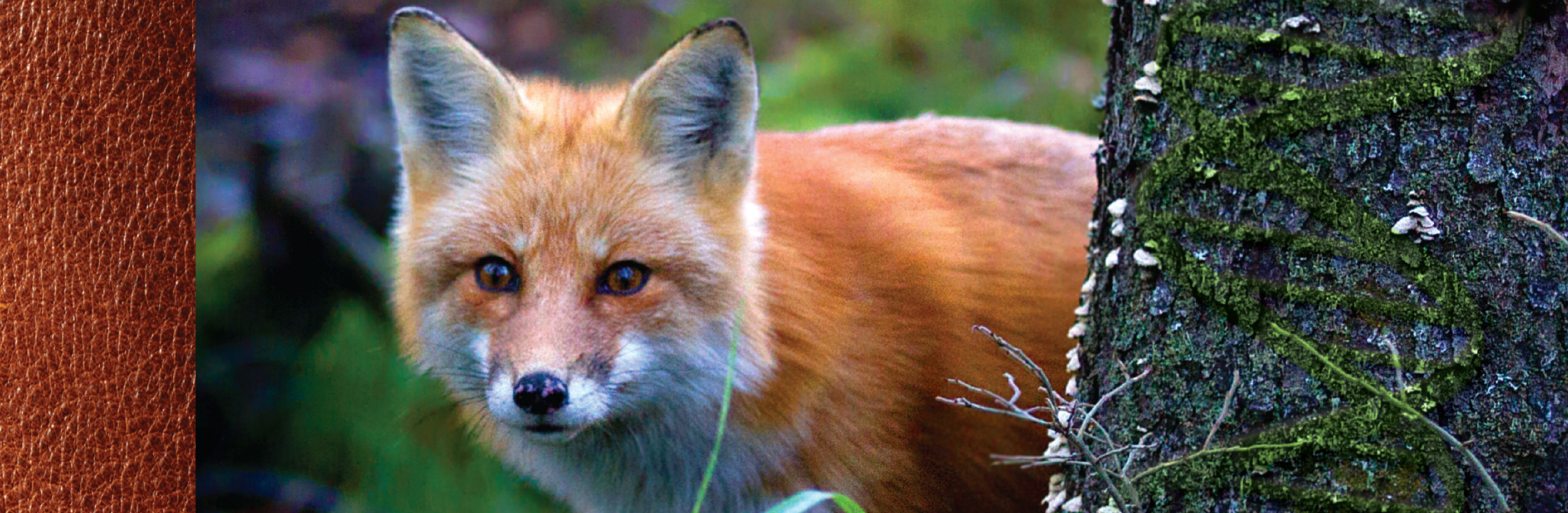 BIOL110-B01-202520 | Home