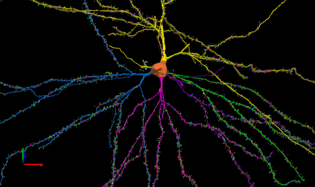 BIOL123-003-202540 | Home