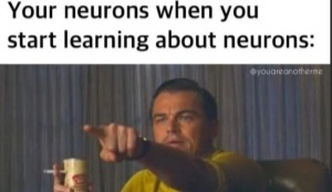 BIOL472-001-202540 | Home