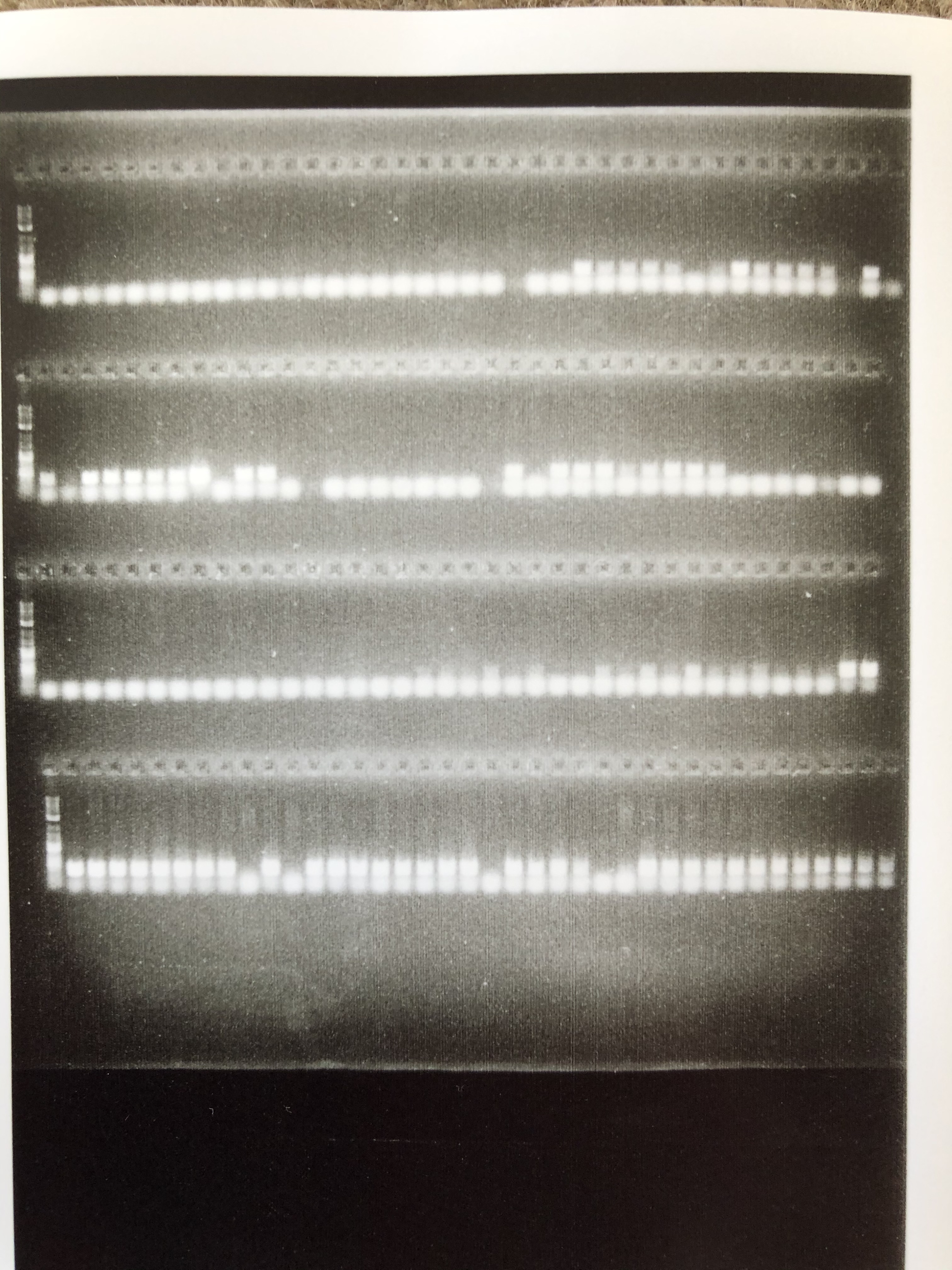 BIOL452-002-202620 | Home