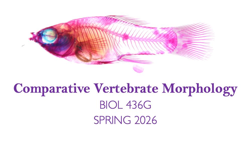 BIOL436-001-202640 | Home